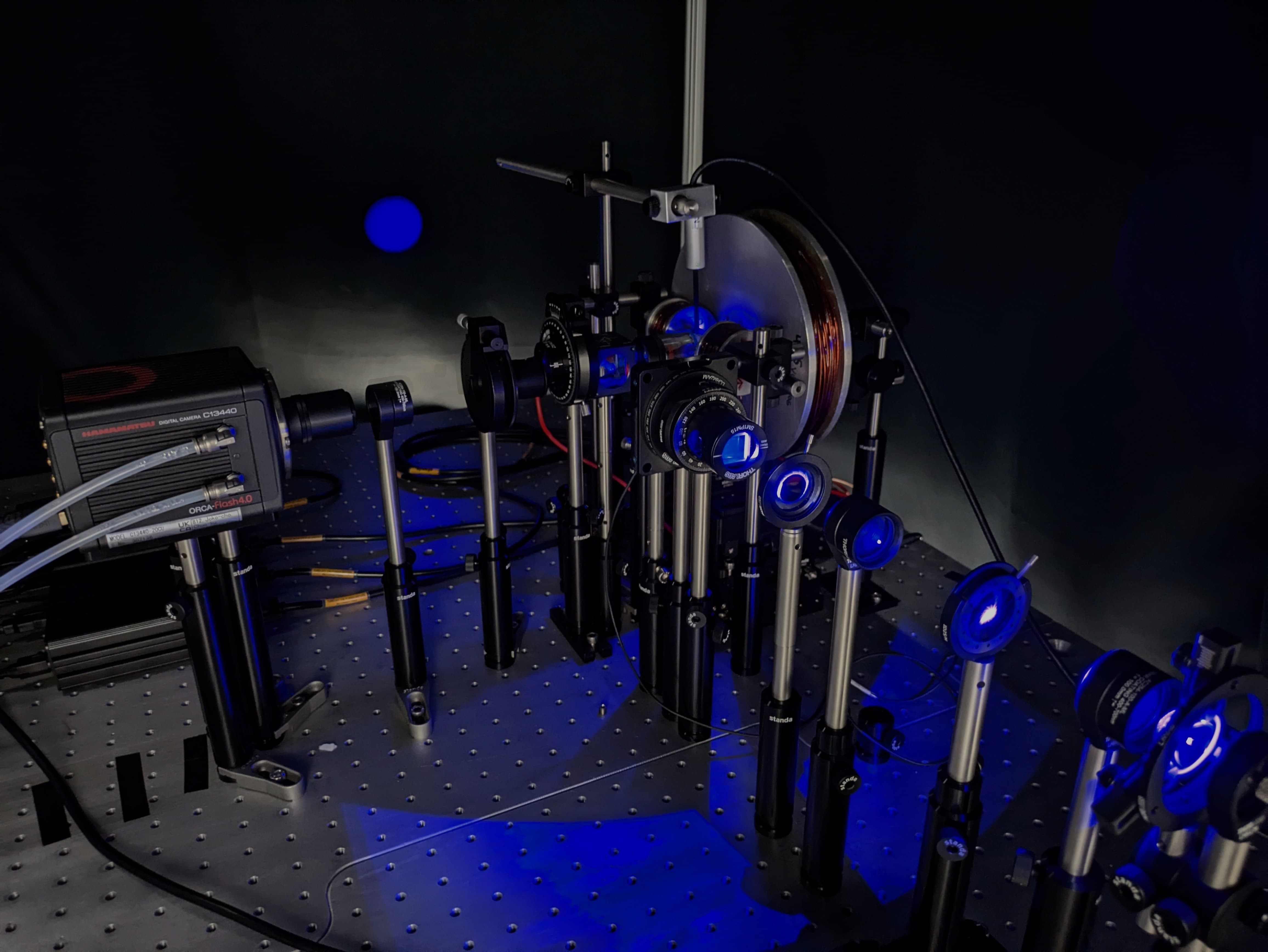 Velez Lab